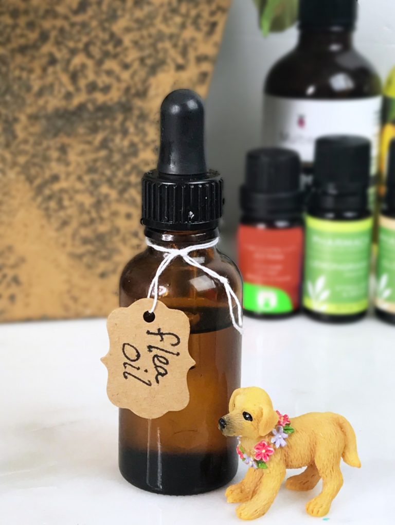 How To Make All Natural Flea Drops For Cats & Dogs - Life She Has